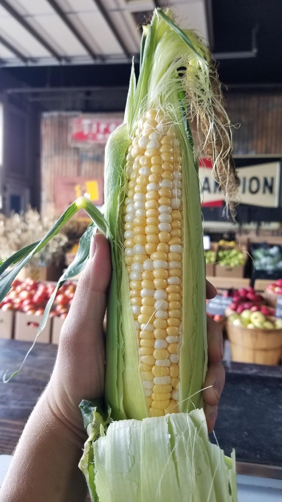 What is Super Sweet Corn?